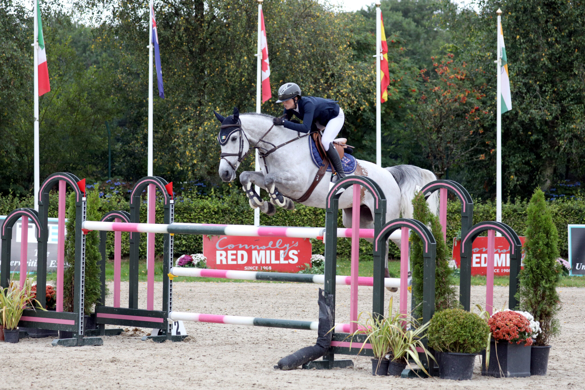 Millstreet International Horse Show 2025 Unveils Ireland’s Richest Young Horse Prize Fund ...